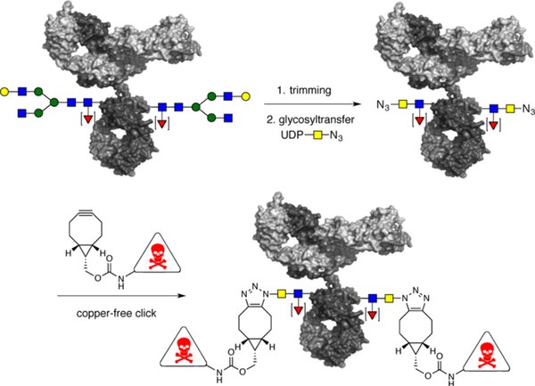 信达生物研发技术平台梳理 - 知乎