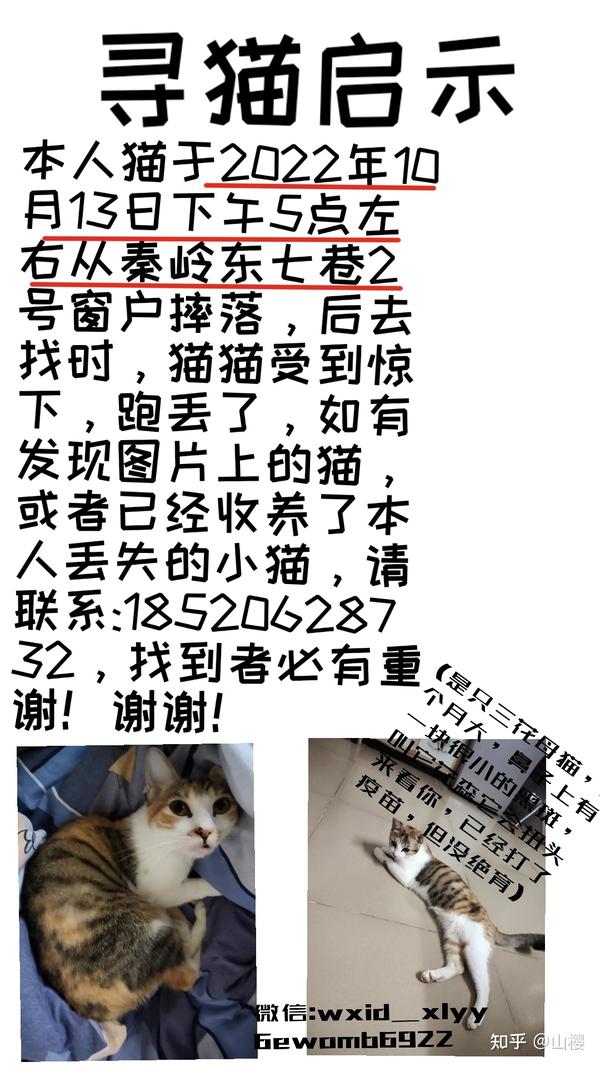 求助!!!我家猫不见了!!寻猫启事 知乎