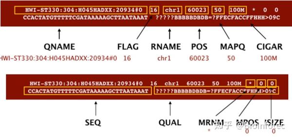 生信数据格式—SAM/BAM文件 - 知乎