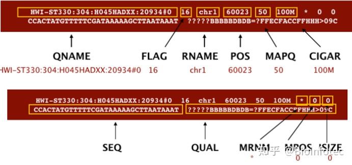 生信数据格式—SAM/BAM文件 - 知乎