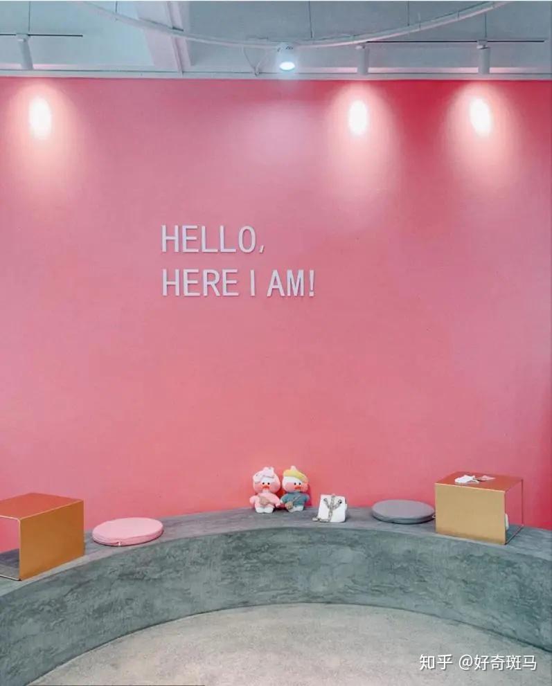 去一趟萌萌的宠物咖啡馆，我原地复活了！ - 知乎