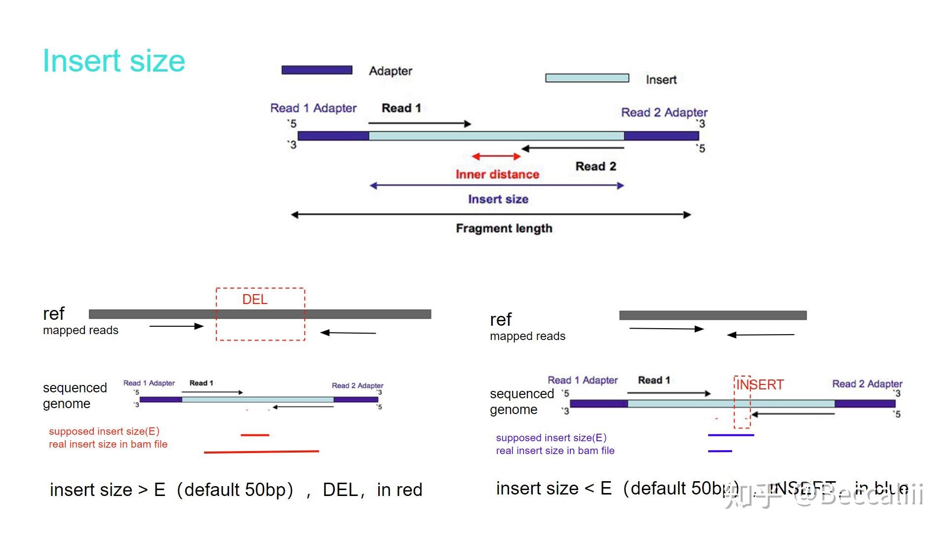 服务器安装IGV并在本地电脑使用 - 知乎