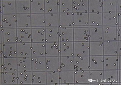 如何用ImageJ处理荧光图和WB图 - 知乎