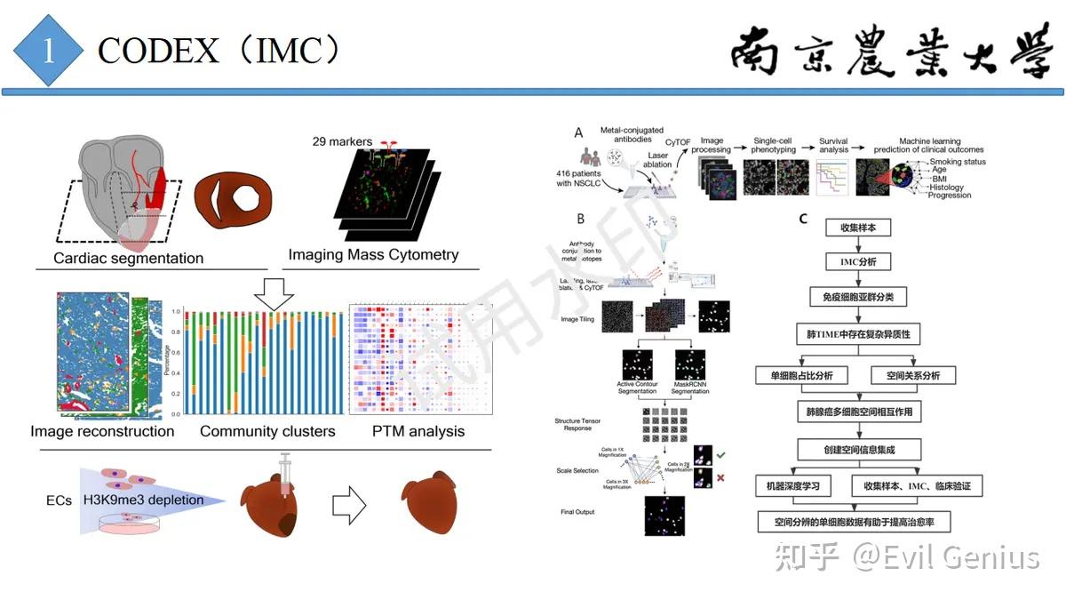 第26课PPT--CODEX（IMC、mIHC）基础分析梳理 - 知乎