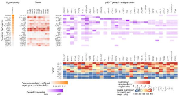 10X单细胞（10X空间转录组）细胞通讯分析联合大全 - 知乎
