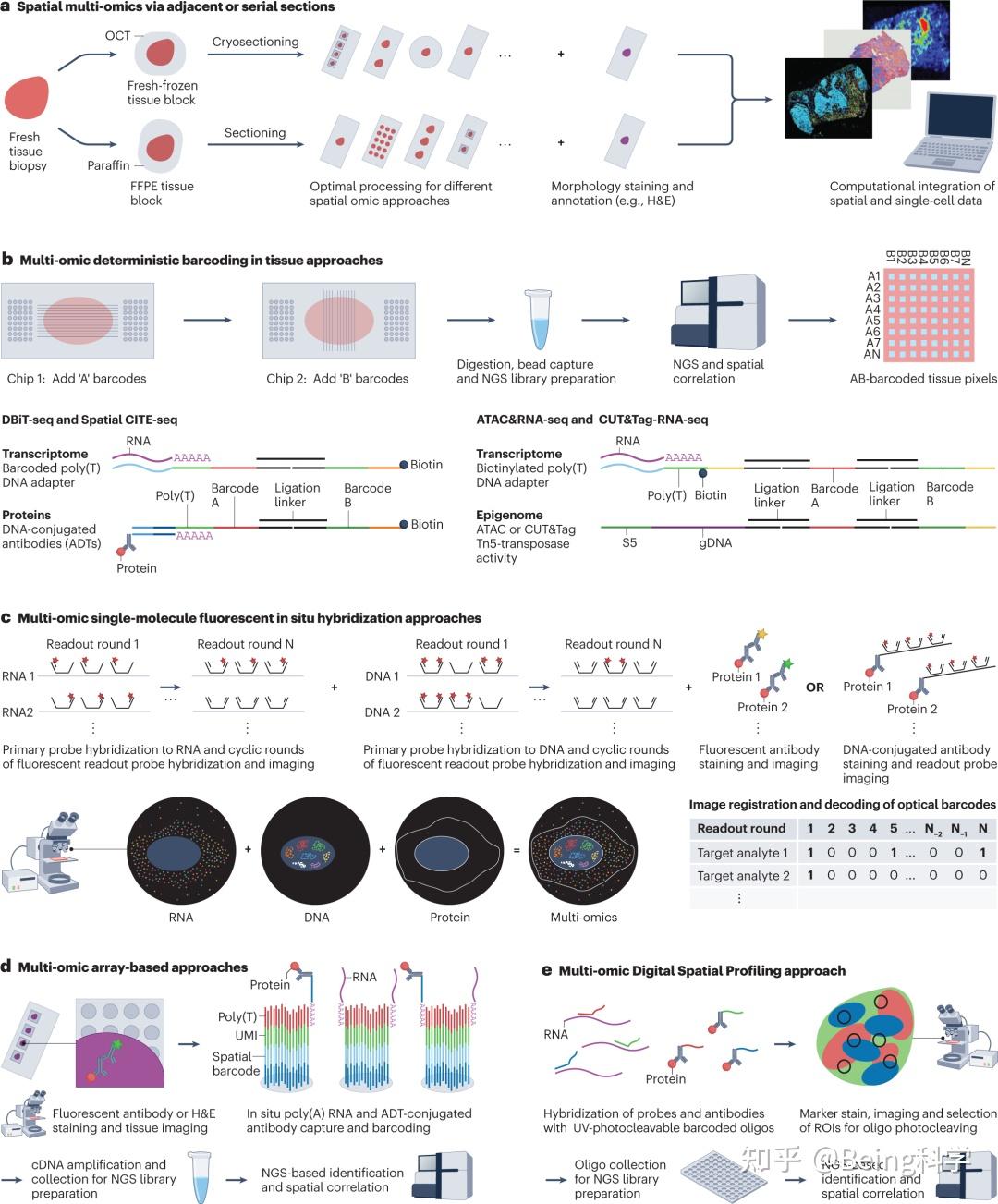 超全综述 | 单细胞和空间多组学的方法和应用！ - 知乎