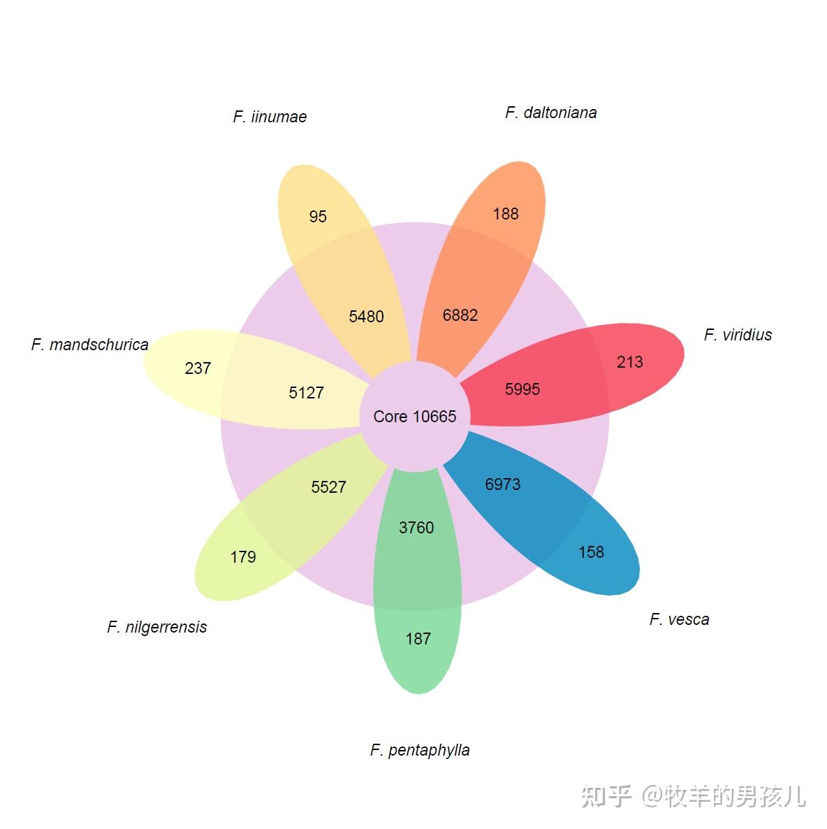 跟着PNAS学作图：R语言ggplot2花瓣图展示泛基因组分析中核心和可变基因 - 知乎