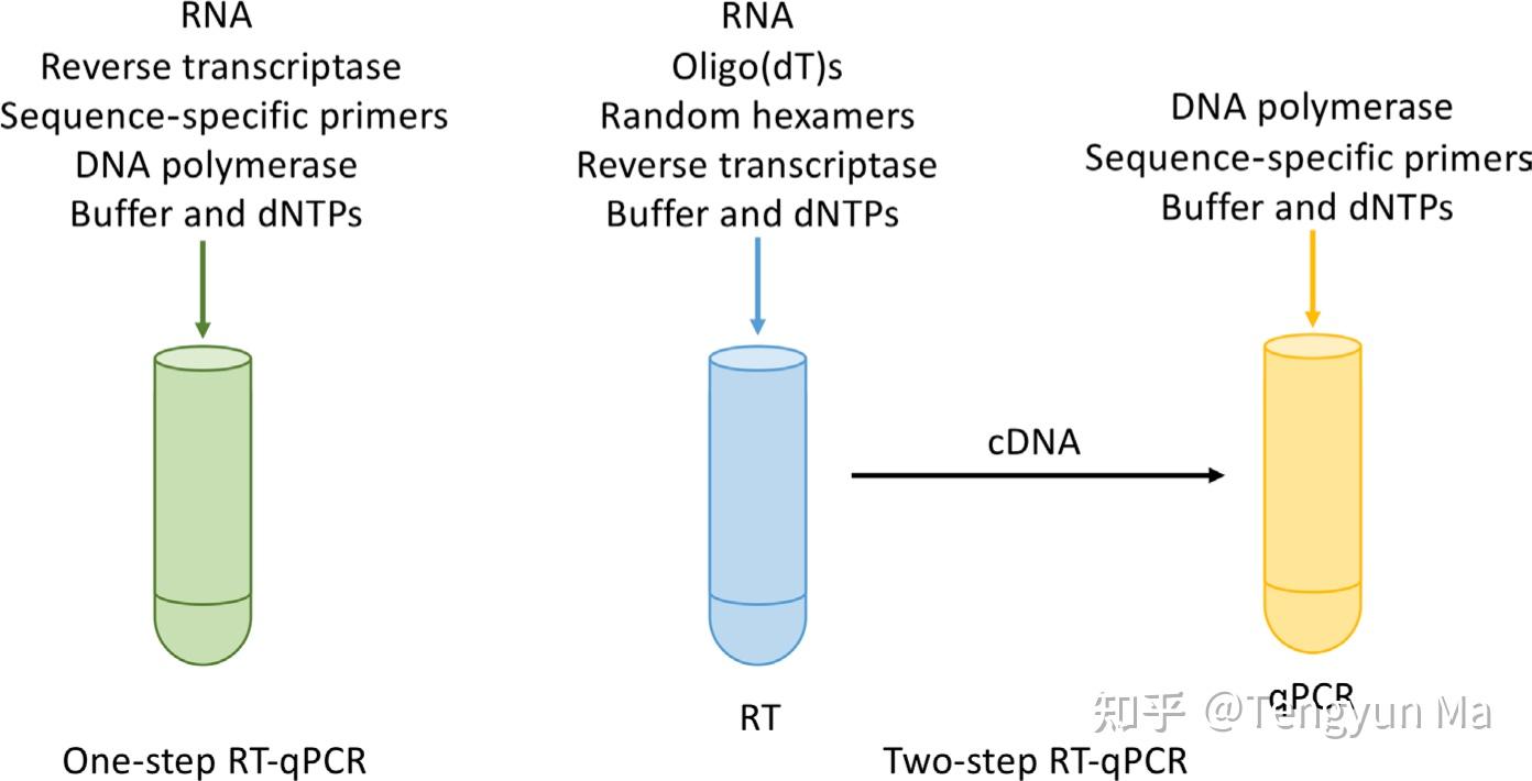 自用的PCR和qPCR区别 - 知乎