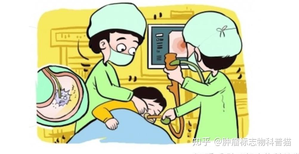 胃镜和肠镜可以一起做吗?做胃镜和做肠镜的流程分别是什么? 知乎