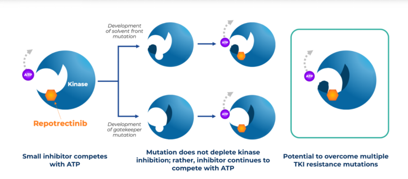 再鼎医药新一代广谱抗癌药Repotrectinib获CDE优先审评 - 知乎