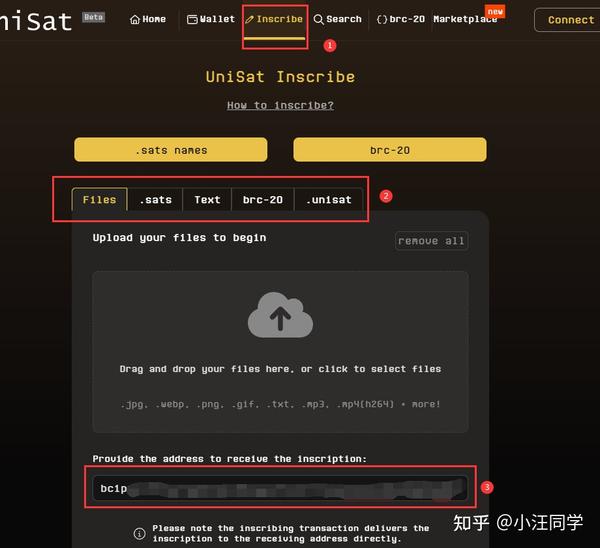 全网最全的Brc20保姆级教程 - 知乎