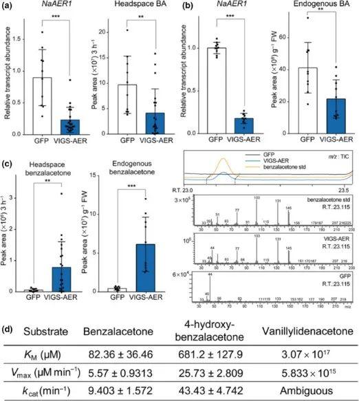 New Phytol | 野生烟草花冠细胞的单细胞RNA测序揭示花香的生物合成途径 - 知乎