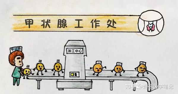 #学习分享122#甲状腺结节是怎么形成的？(漫画图解) - 知乎