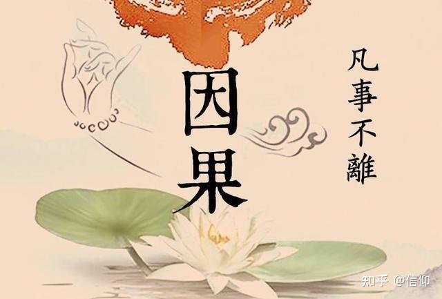 信因果,不信果报——《赘婿》之因果 知乎