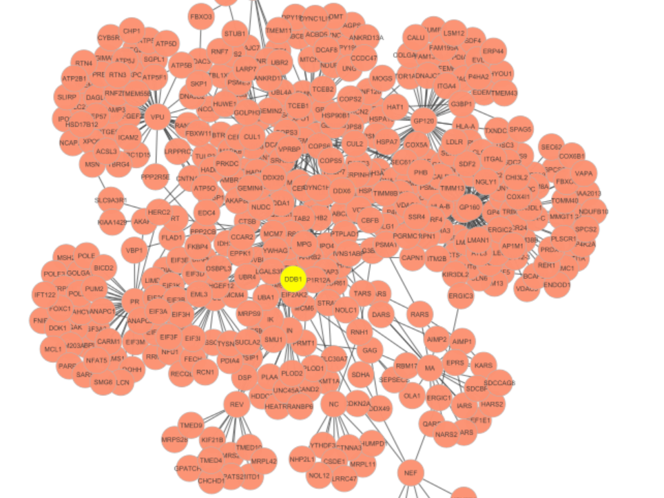 cytoscape如何将node置于顶层 - 知乎