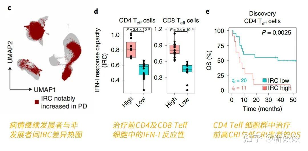10x单细胞多组学技术揭开I型干扰素与PD1阻断疗法之间的爱恨情仇 - 知乎