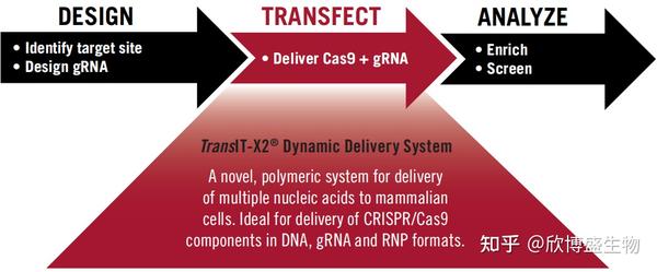MirusBio TransIT-X2转染试剂 - 知乎
