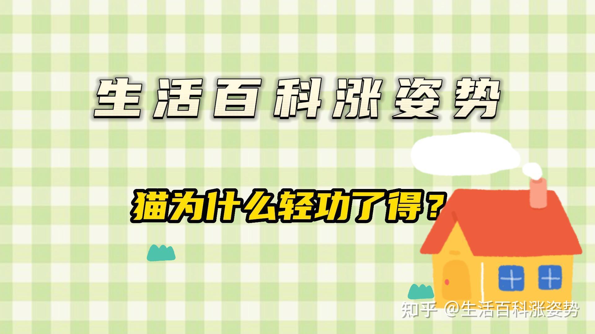 猫为什么轻功了得？生活百科涨姿势生活科普科普小知识 知乎