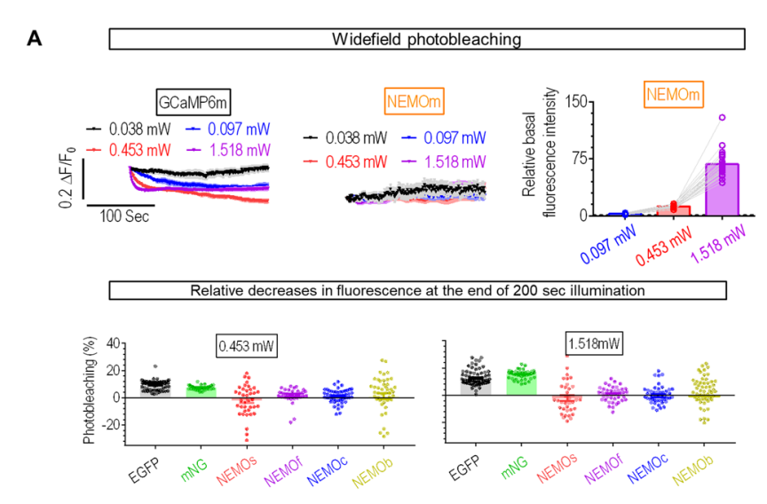 小布解读 | Nat Methods | 王友军/章晓辉/唐爱辉团队合作开发新型钙指示剂 NEMO-具有大动力学和高灵敏度 - 知乎