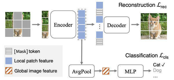 Mask Autoencoder 各类变体 - 知乎