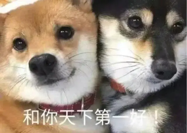 138张情侣之间常用的表情包 - 知乎