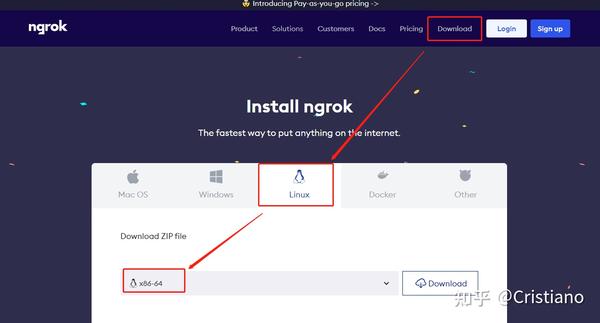 ngrok-内网穿透实测(傻瓜式操作) - 知乎