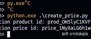 python stripe 支付 - 知乎