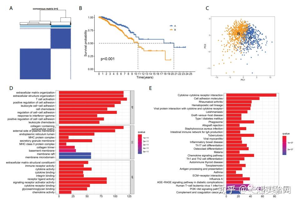 8+：特定免疫细胞类群分析角度来袭 - 知乎