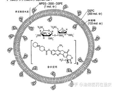 DSPC，二硬脂酰基磷脂酰胆碱（CAS：816-94-4）是如何在LNPs中大放异彩的？ - 知乎