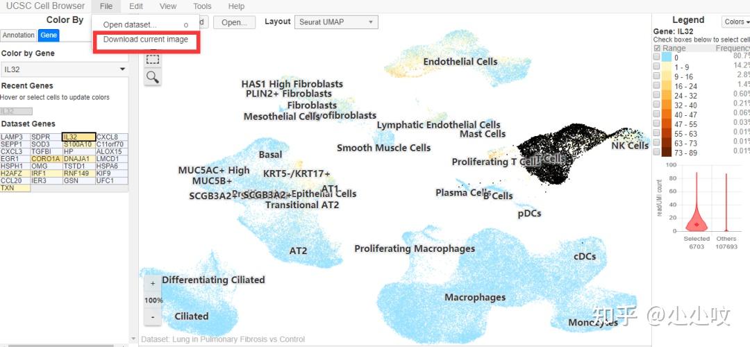 UCSC Cell Browser：可视化你的单细胞数据 - 知乎