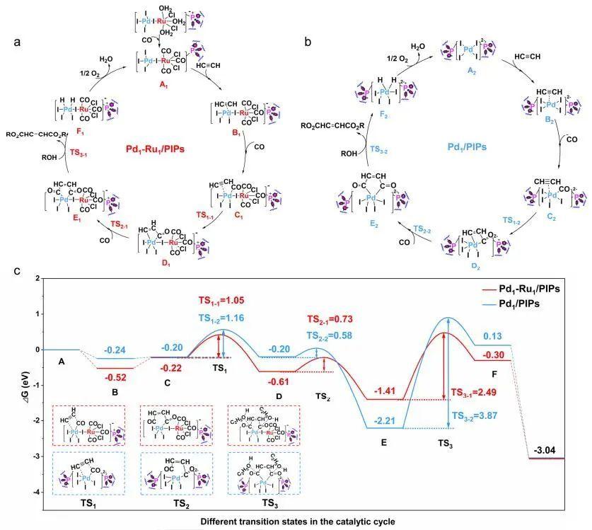 Angew.：近100%选择性 Pd1-Ru1/PIPs助乙炔双羰基化 - 知乎