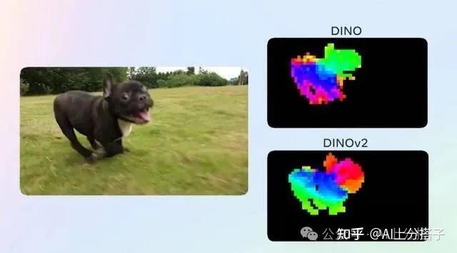 [经典论文] Meta DINO 系列的进化史与奇妙用法 - 知乎