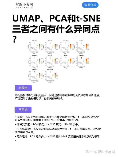 别再懵圈！一文30秒搞懂 UMAP 图，快看📈 - 知乎