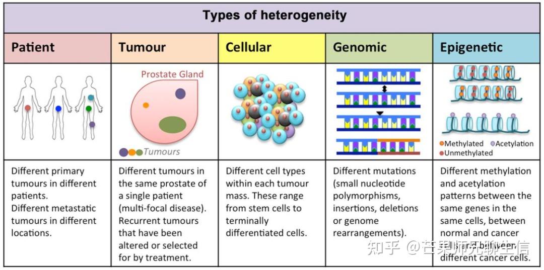 肿瘤免疫 · 实操教程Day10.UALCAN使用教程 - 知乎