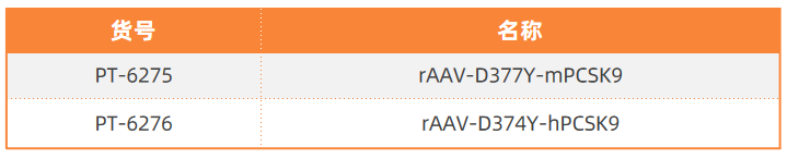 【新品推荐】AAV-PCSK9构建动脉粥样硬化模型 - 知乎