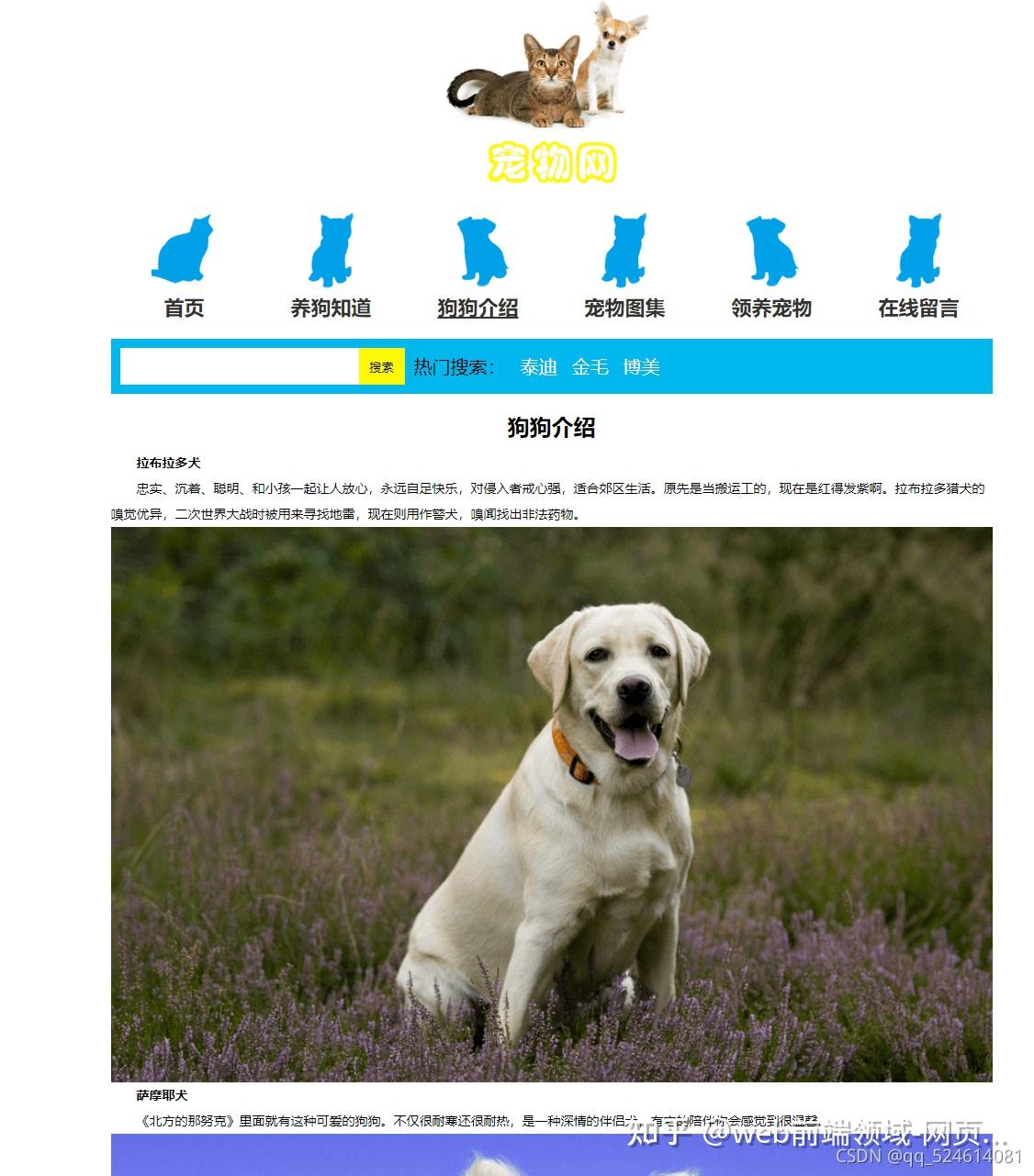 Html5期末大作业:宠物网网站设计——代码质量好 宠物网8页 Htmlcssjavascript 学生dw网页设计作业成品 Web课程设计网页规划与设计 计算机毕设网页设计源码 知乎
