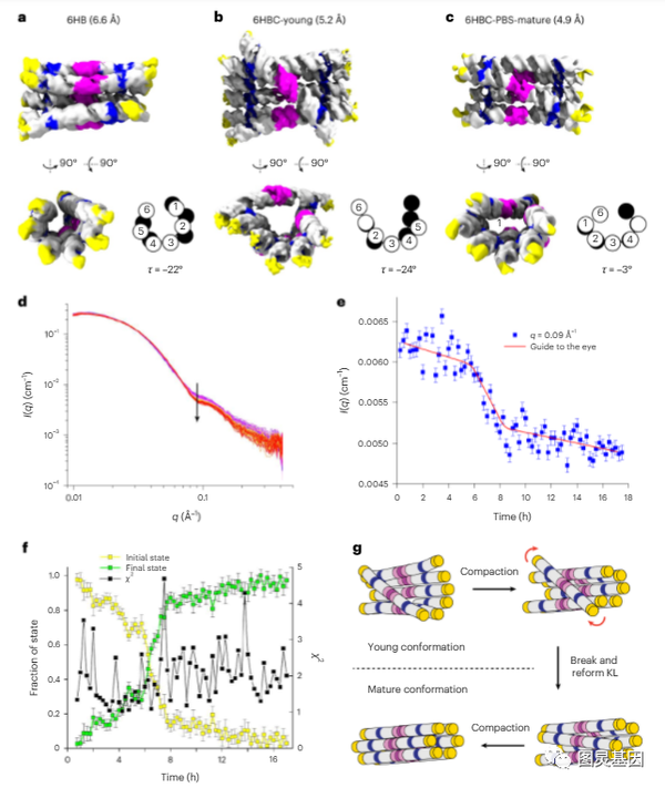 Nature Nano | 共转录RNA折纸的结构、折叠和灵活性 - 知乎