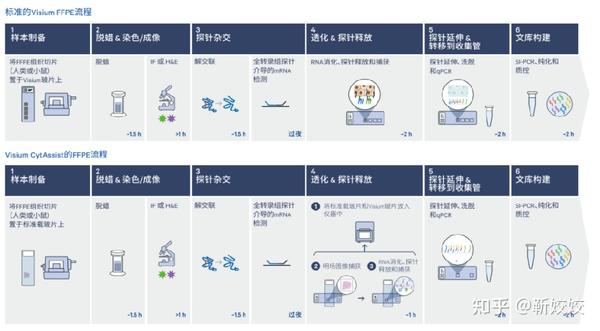 单细胞+空间 | 3种技术助力解锁FFPE样本中的新世界！ - 知乎