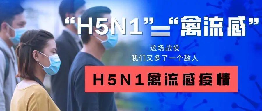 11岁女孩死于H5N1：如何阻止禽流感爆发成为大流行？ - 知乎