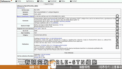 RLE-6TN细胞培养， 大鼠肺上皮Ⅱ型细胞培养攻略 - 丰晖生物 - 知乎