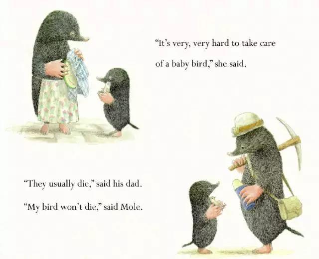 绘本故事 | Mole And The Baby Bird - 知乎