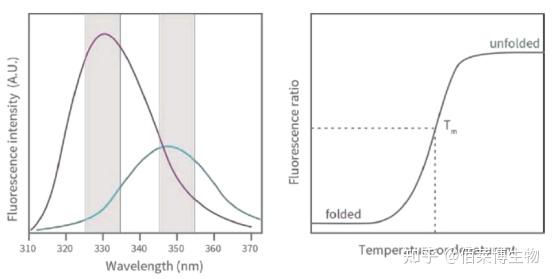 利用nanoDSF技术代替金标准方法DSC进行生物制品热稳定性分析 - 知乎