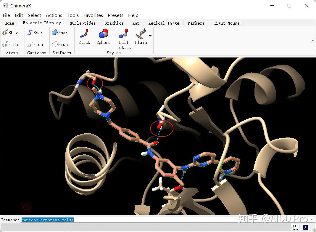 手把手教你使用ChimeraX进行蛋白-配体相互作用的分析与绘图（中篇） - 知乎