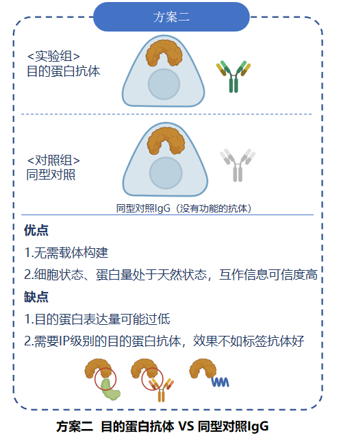 一站式IP打造|原来它才是CoIP成功率高的原因 - 知乎
