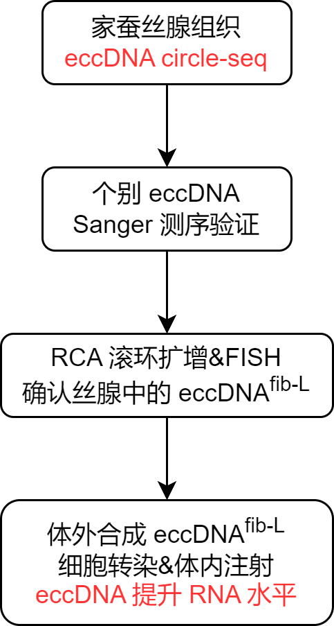 云序用户通过circle-seq在家蚕中发现具有重要功能的 eccDNA - 知乎