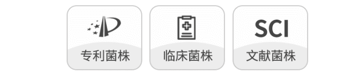 微·益菌 | 明星菌—WecLac® 植物乳杆菌Lp90 - 知乎