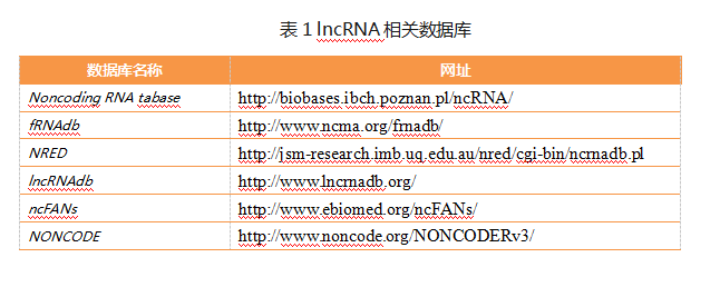 lncRNA过表达及干扰载体设计与实验 - 知乎