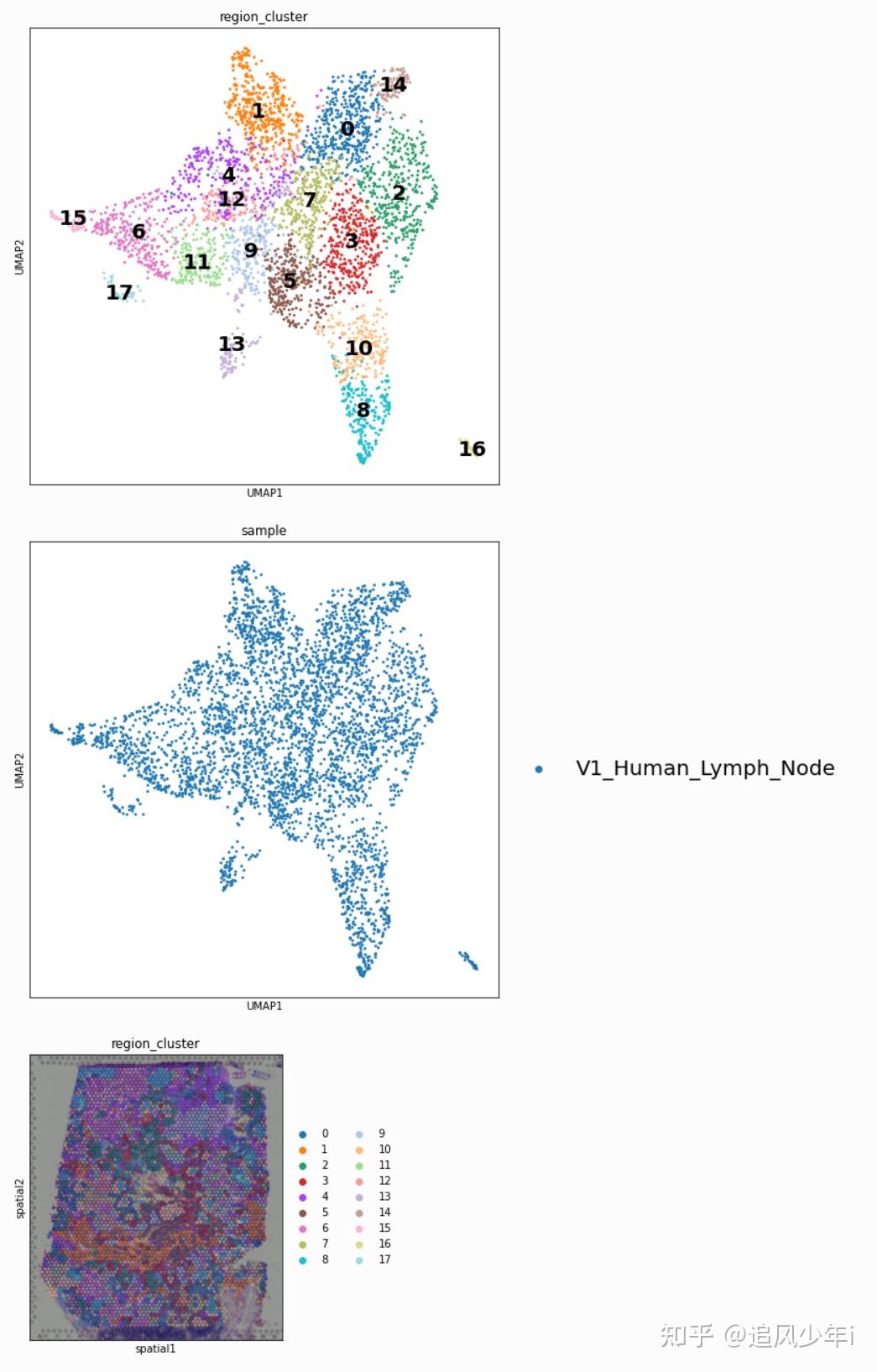 10X单细胞空间联合分析之再次解读cell2location - 知乎