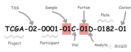 TCGA 概述及 Barcode 详解 - 知乎
