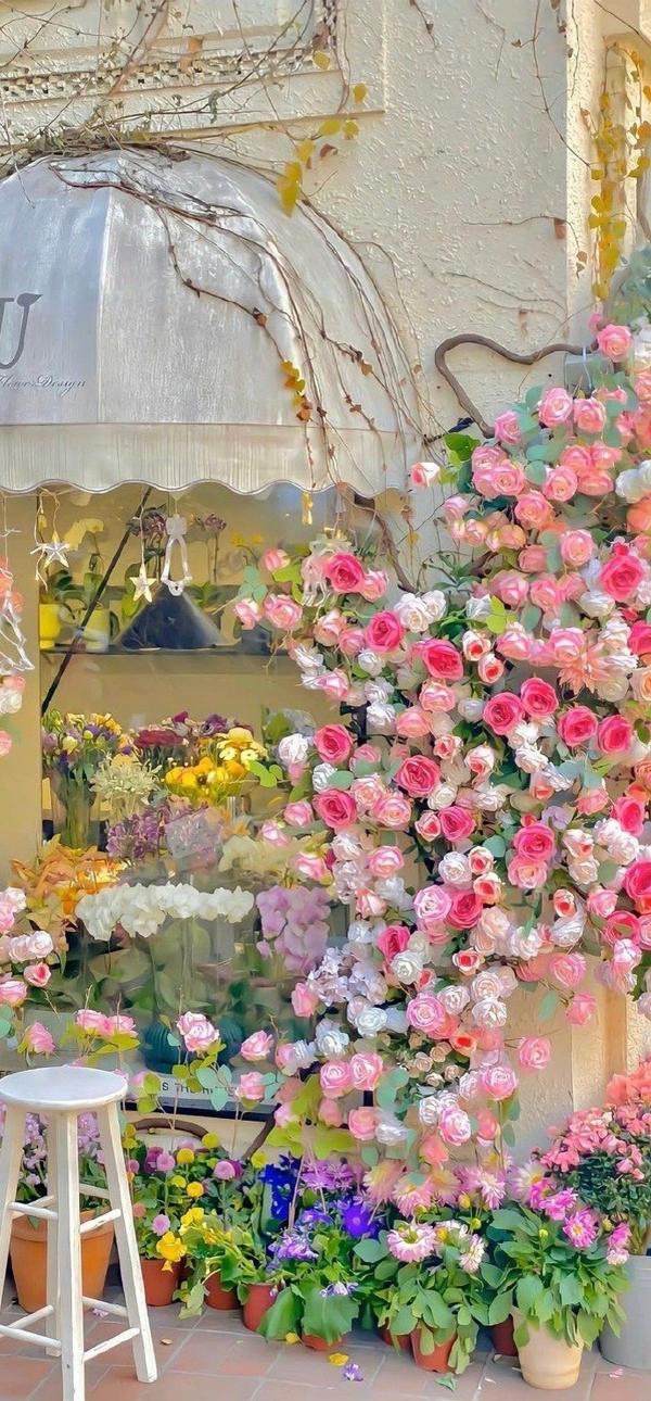 有哪些ins风好看的壁纸？ - 知乎